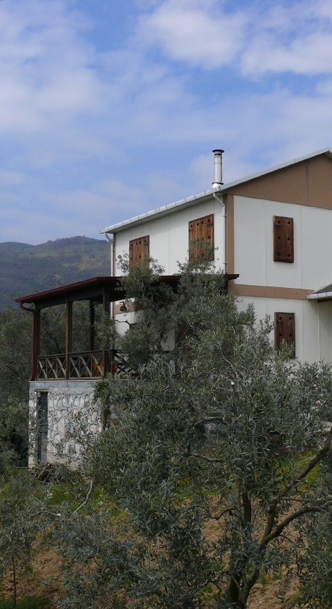 Deep Interiors - Home